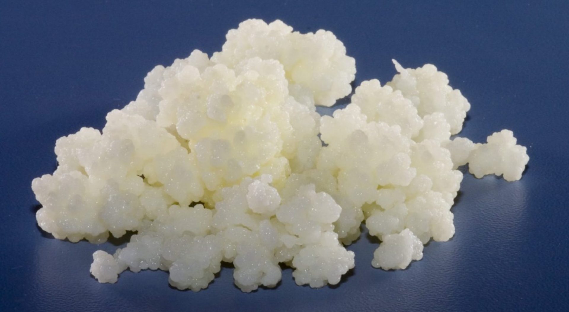 Is kefir healthy? Separating fact from fiction - Startercultures.eu